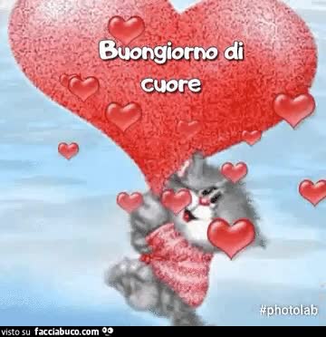 E dopo ben 3 ore e mezza di sonno eccomi sveglia insieme alla mia ansia ...